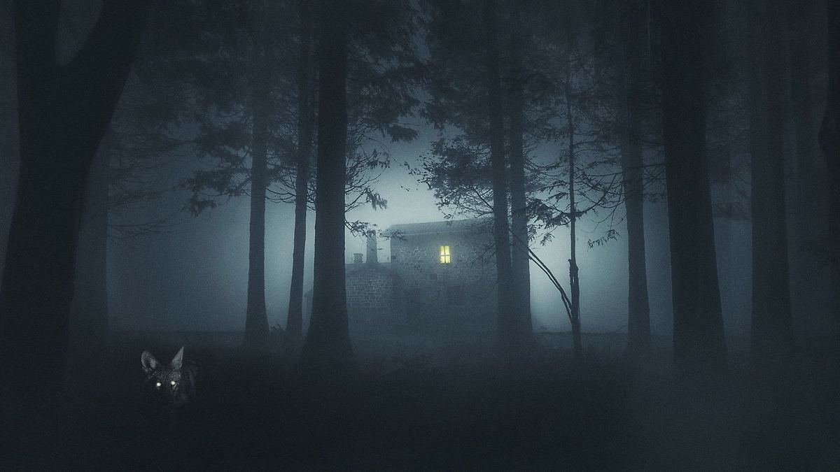 Shelby Oaks’ review by Taylor Williams • Letterboxd