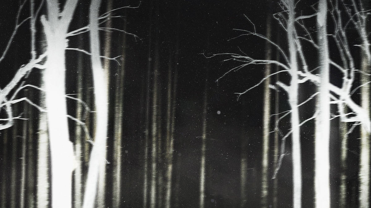 Shelby Oaks’ review by Kris Romberg • Letterboxd