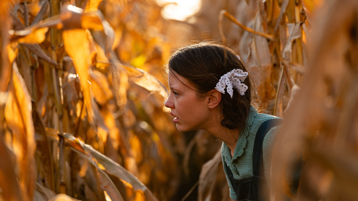 ‎pearl x maxxine trilogy , a list of films by let • Letterboxd