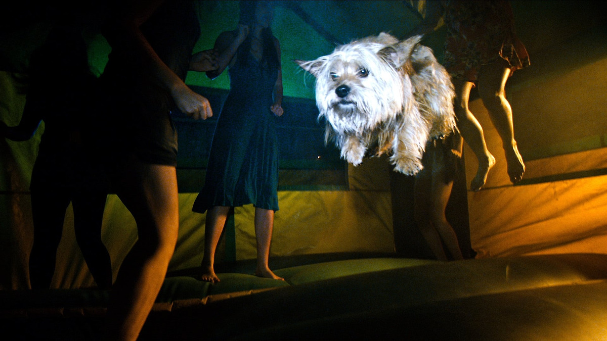 Project X’ review by Nick • Letterboxd