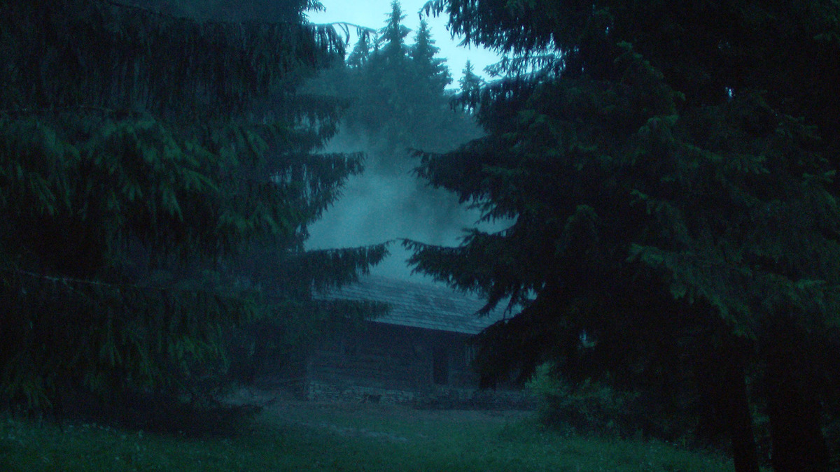 ‎Nightsiren (2022) directed by Tereza Nvotová • Reviews, film + cast ...