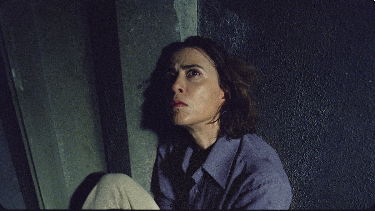 I'm Still Here’ review by Daniel Anaya • Letterboxd