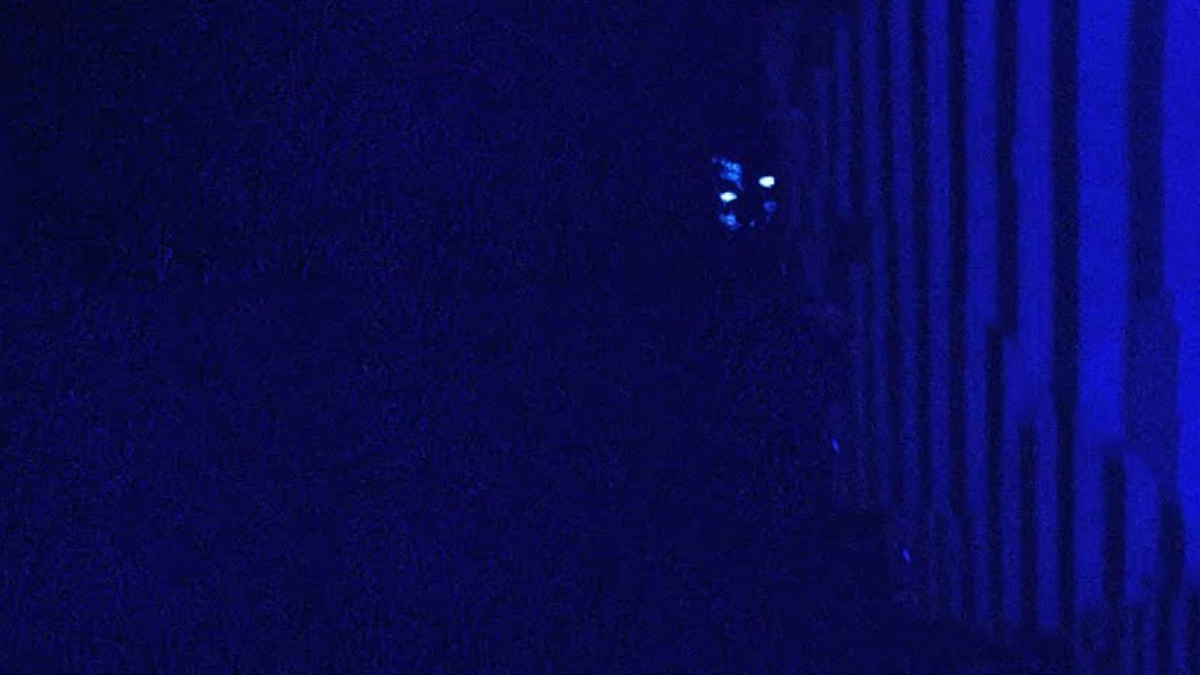 ‎Heck (2020) directed by Kyle Edward Ball • Reviews, film + cast ...