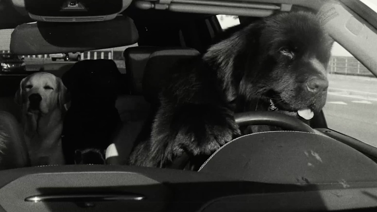 Kinds of Kindness’ review by Bia ݁ᛪ༙ • Letterboxd