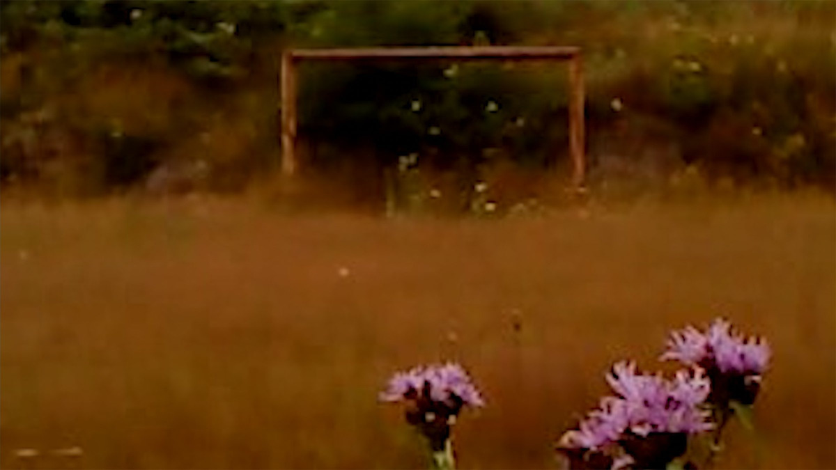 Dry Leaf’ review by Will • Letterboxd