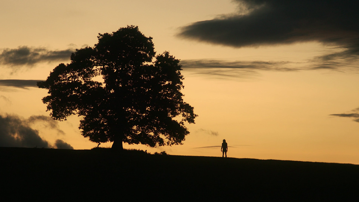 28 Years Later’ watched by Cinemonster • Letterboxd