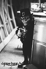 leprechaun 4 poster