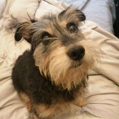 ‎Nicholas Carton’s profile • Letterboxd