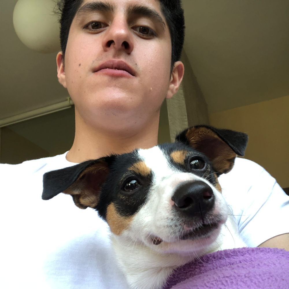 ‎Kenneth Sánchez’s profile • Letterboxd