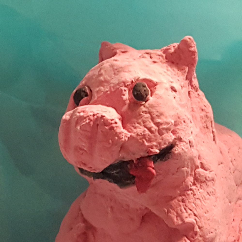 ‎snoots’s profile • Letterboxd