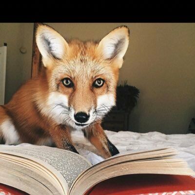 ‎Christopher Holbrook’s profile • Letterboxd