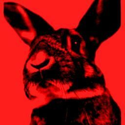 ‎Brian J. "Tyrannorabbit" Wright’s profile • Letterboxd