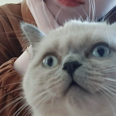 ‎Baygór’s profile • Letterboxd