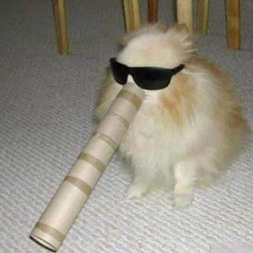 ‎amelia b’s profile • Letterboxd