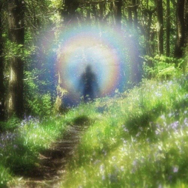 ‎yaglo’s profile • Letterboxd