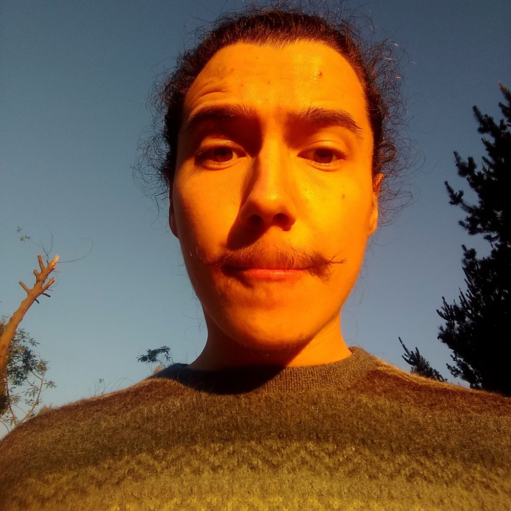 ‎José Alberto’s profile • Letterboxd