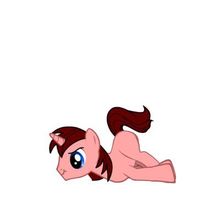 ‎Daniel Attrell’s profile • Letterboxd