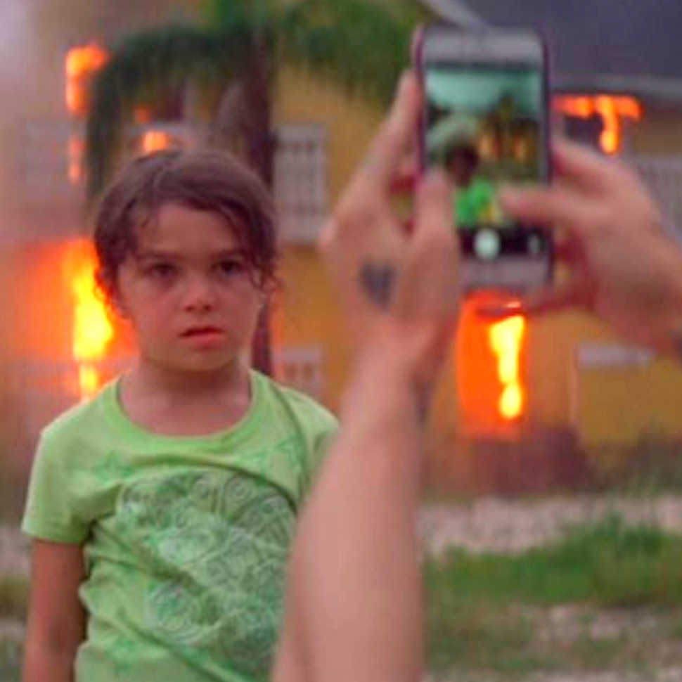 ‎Felipe Morelli’s profile • Letterboxd