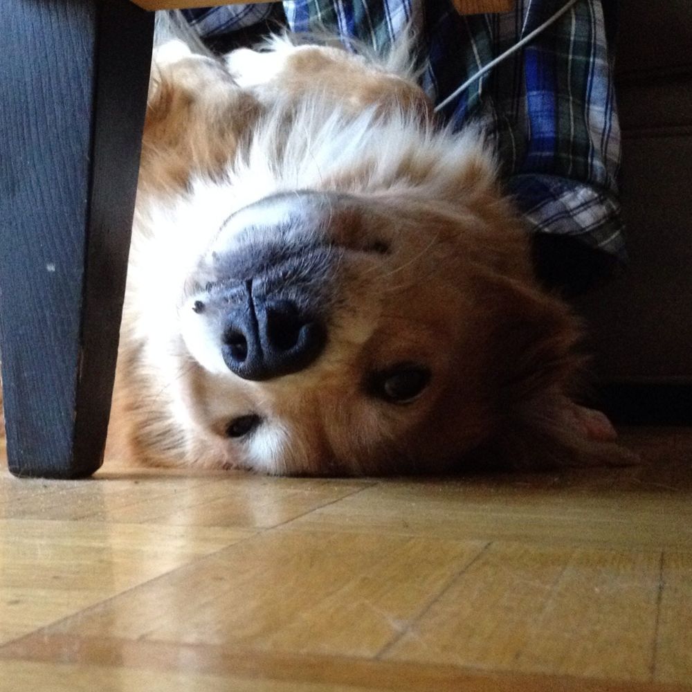 ‎Matt Rabinowitz’s profile • Letterboxd