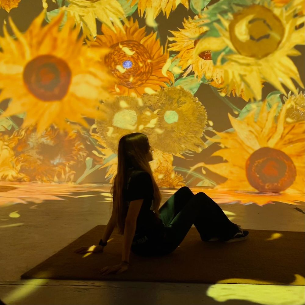 ‎𝓪𝓵𝓮 ♡’s profile • Letterboxd