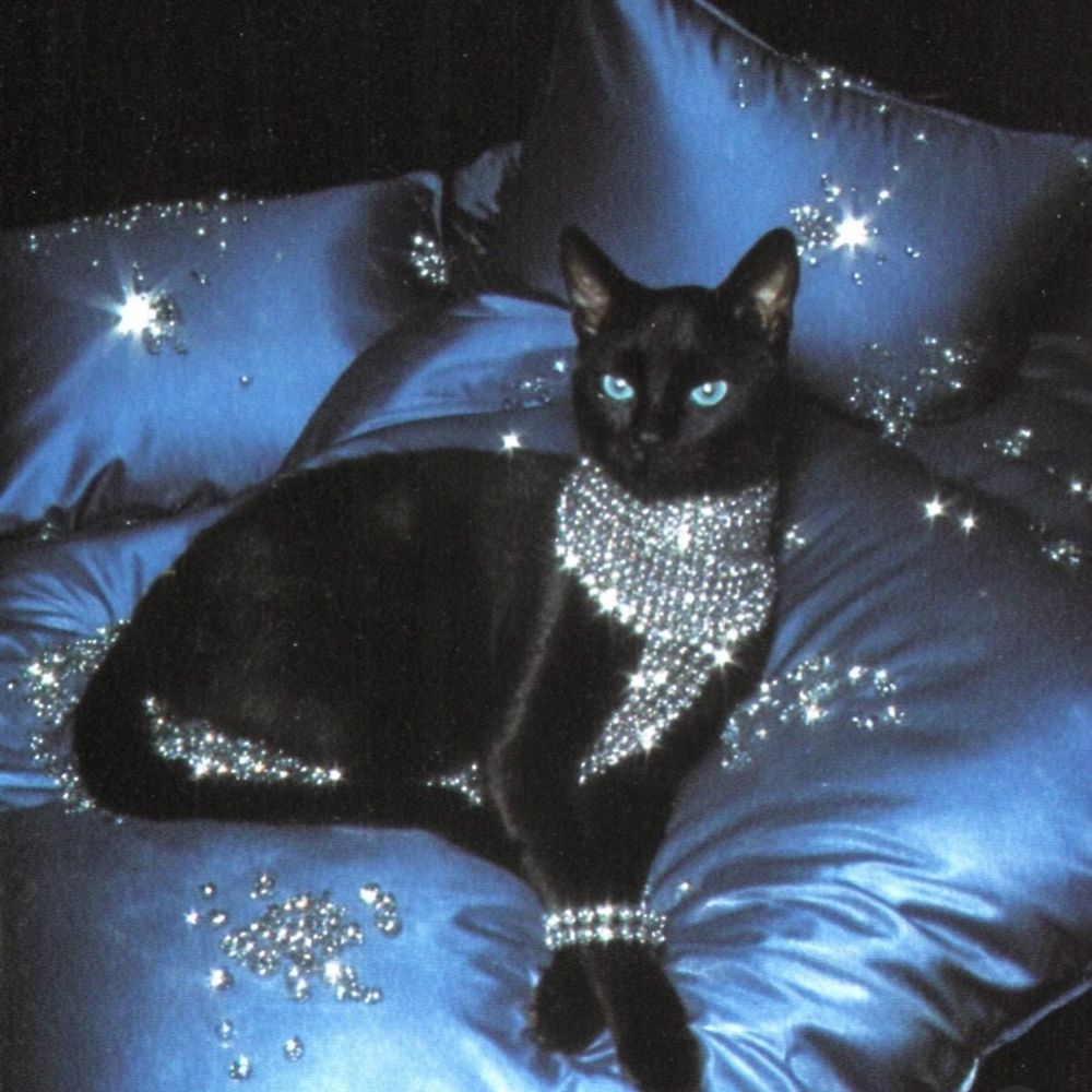 ‎lukasconrad’s profile • Letterboxd