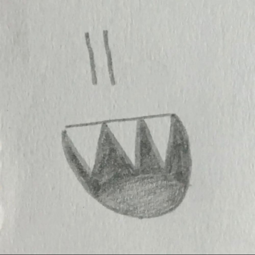 ‎Sofía’s profile • Letterboxd