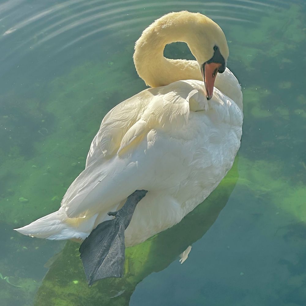 ‎rinny’s profile • Letterboxd