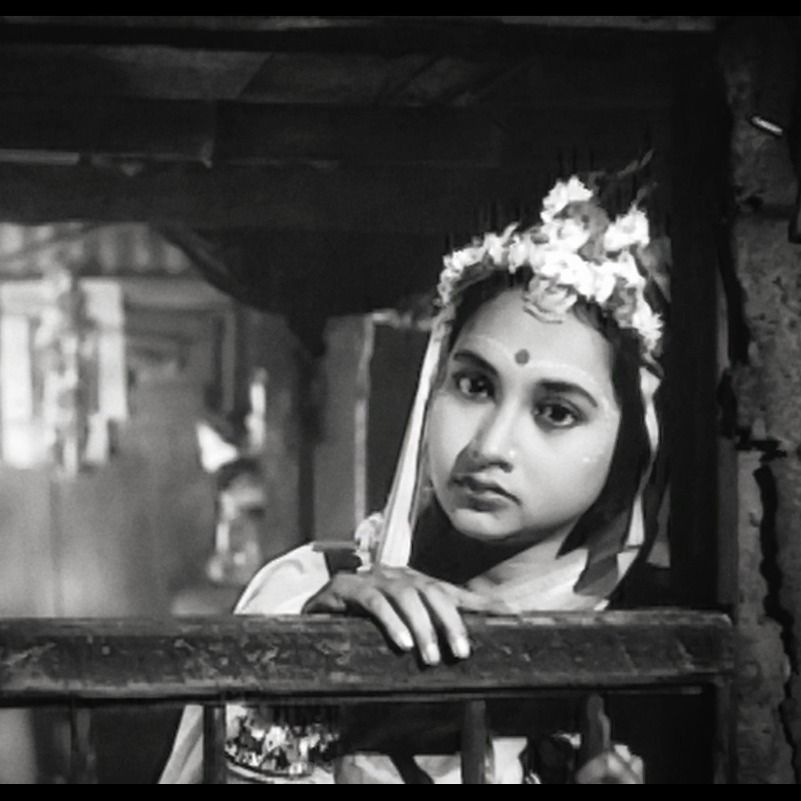 ‎Saniddha Ghosh Dastidar’s profile • Letterboxd