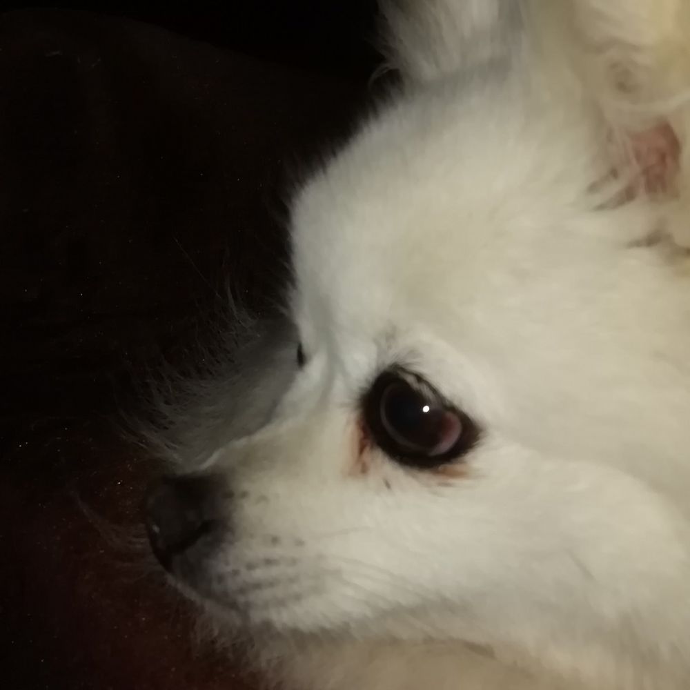 ‎Berkhan’s profile • Letterboxd