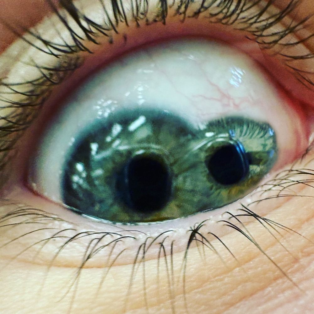 ‎Ruby (Ryan Gosling)’s profile • Letterboxd