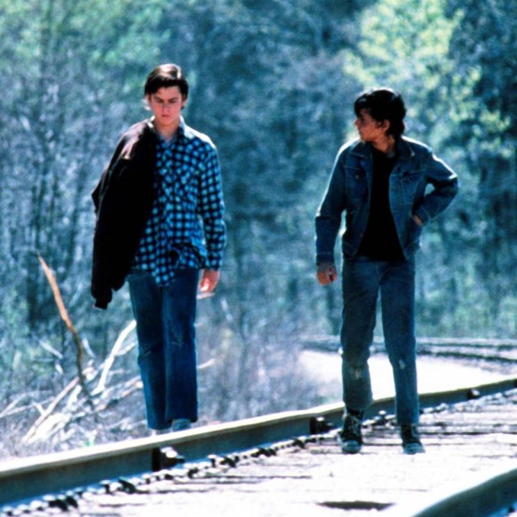 ‎Shroc’s profile • Letterboxd