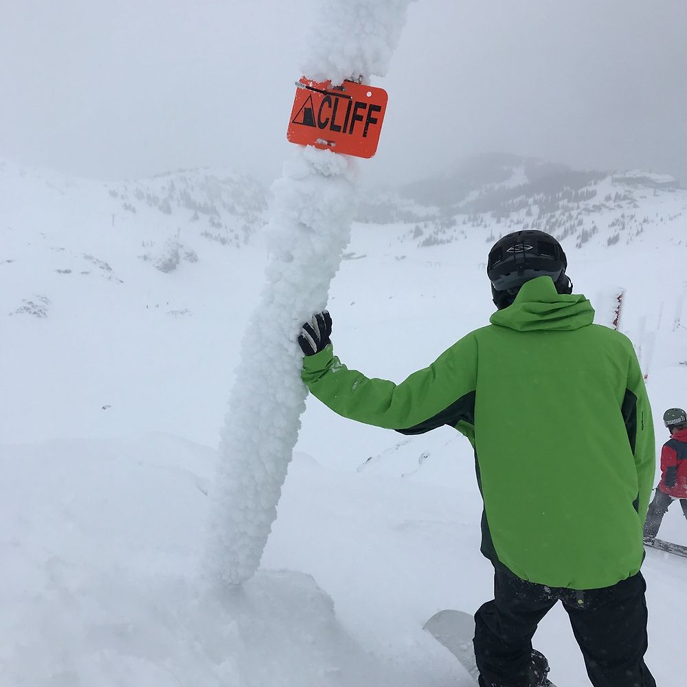 ‎Peter Young’s profile • Letterboxd