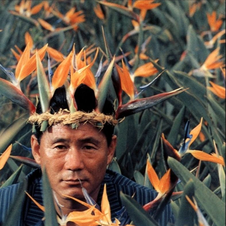 ‎Nick’s profile • Letterboxd