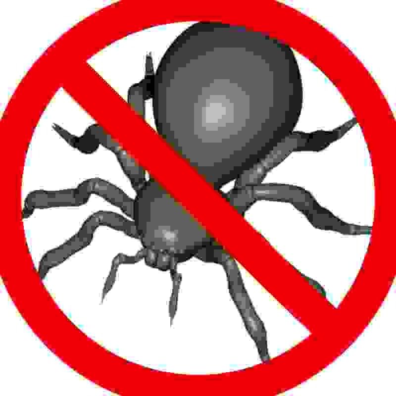 ‎not_a_spider’s profile • Letterboxd