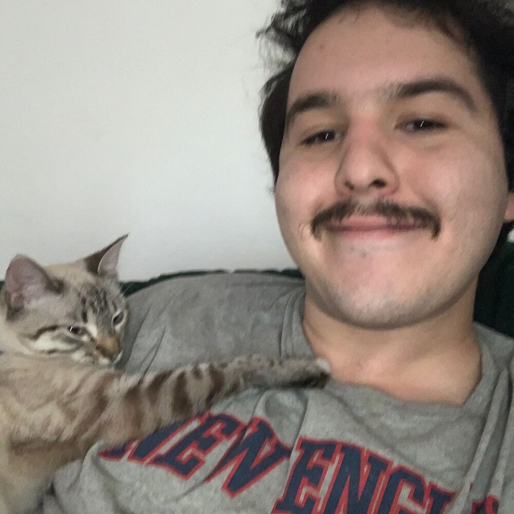 ‎Rafael Rashid’s profile • Letterboxd