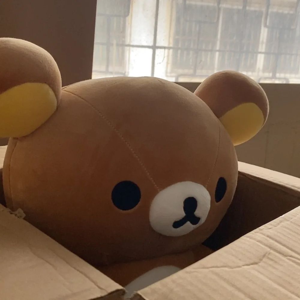 ‎dimdim’s profile • Letterboxd