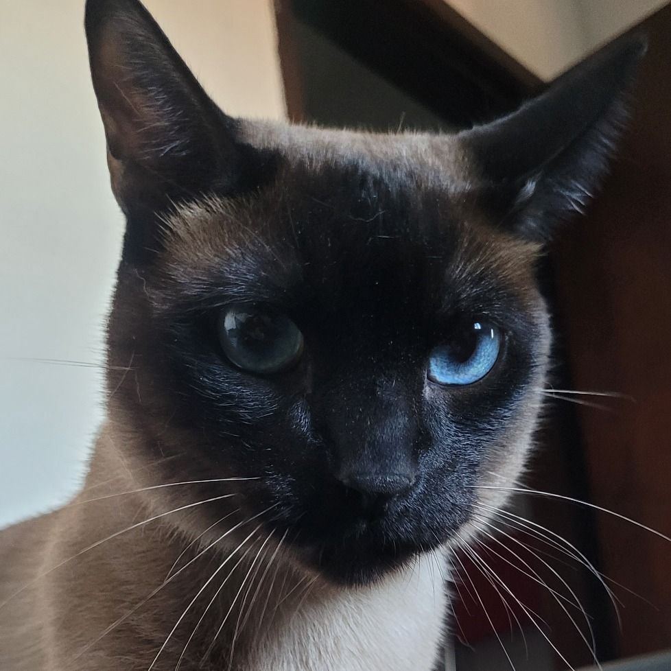 ‎Ana B.’s profile • Letterboxd