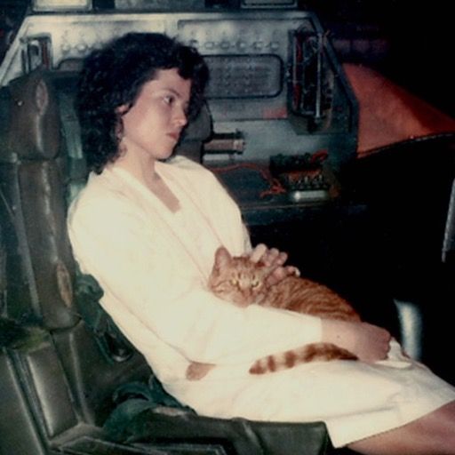 ‎Rachel’s profile • Letterboxd