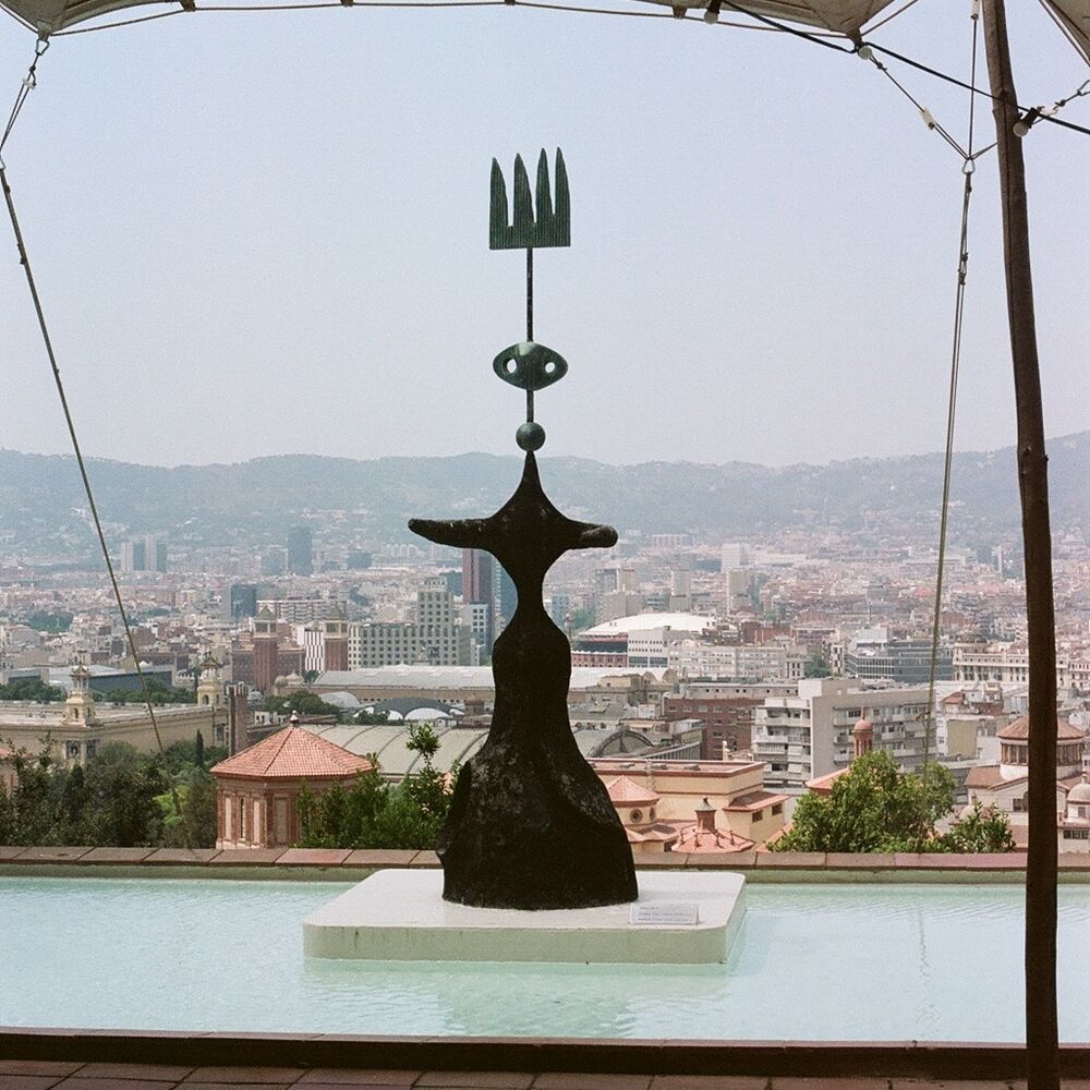 ‎Seany’s profile • Letterboxd