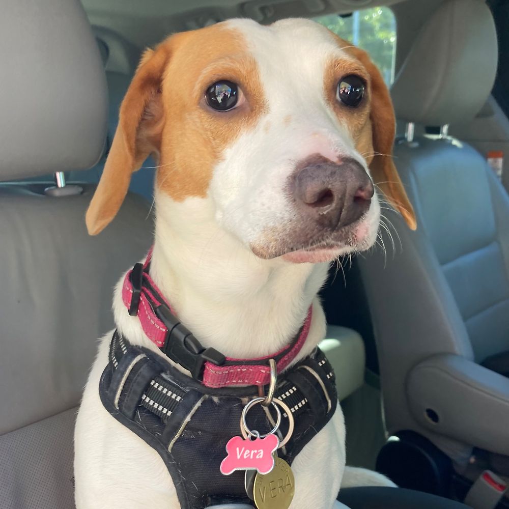 ‎Vera Larson’s profile • Letterboxd