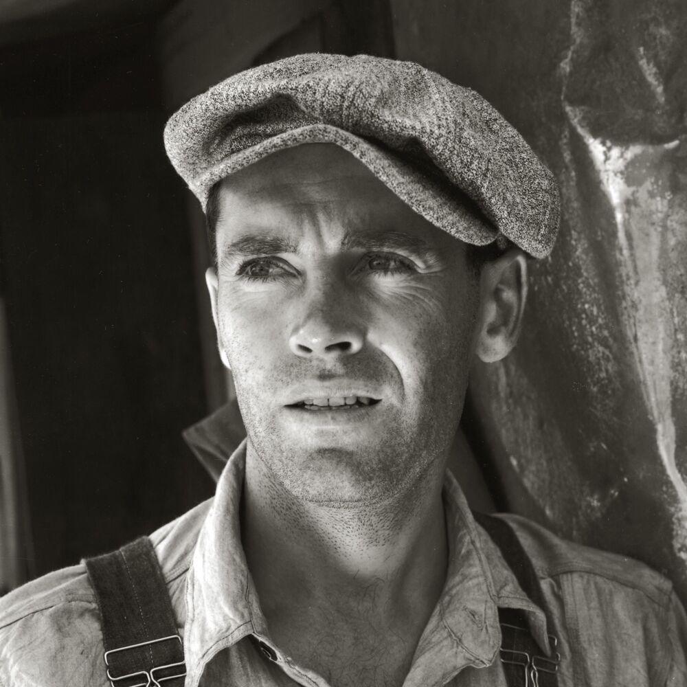 ‎Jim Riddle’s profile • Letterboxd