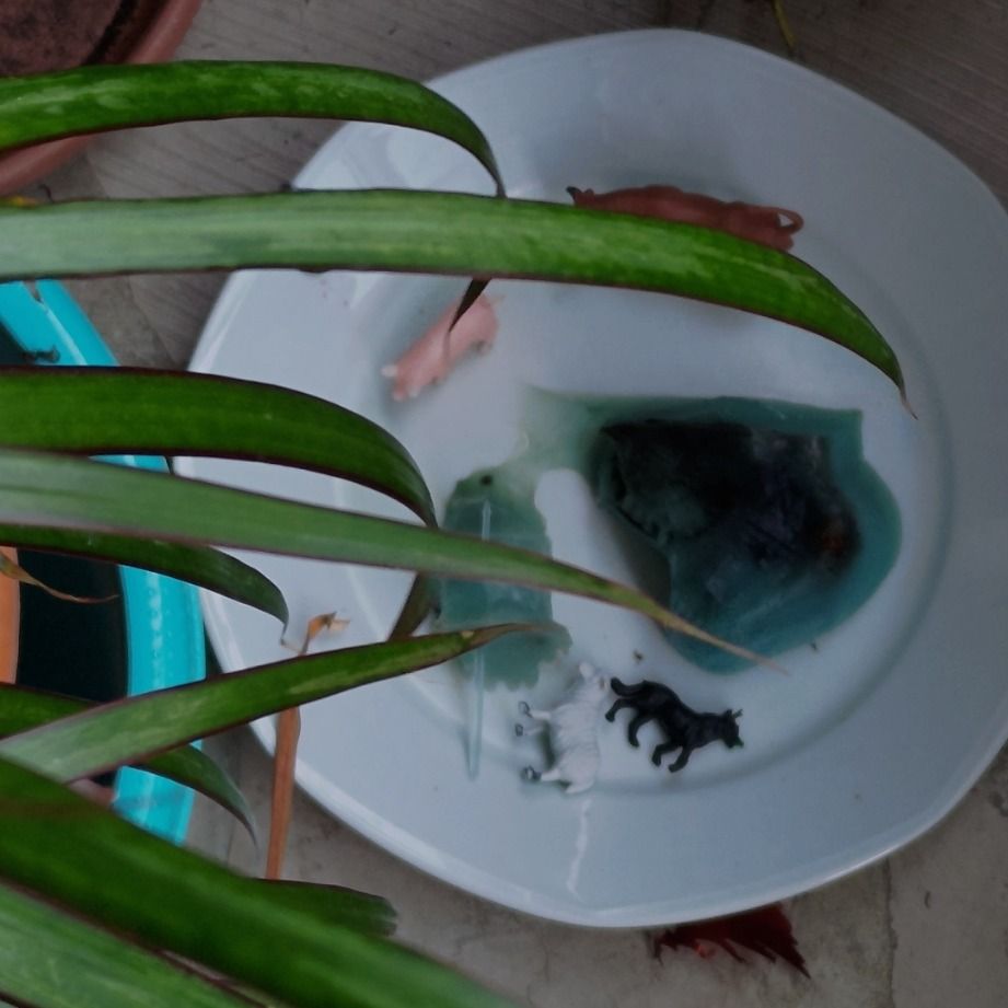 ‎crash_bandicoot’s profile • Letterboxd