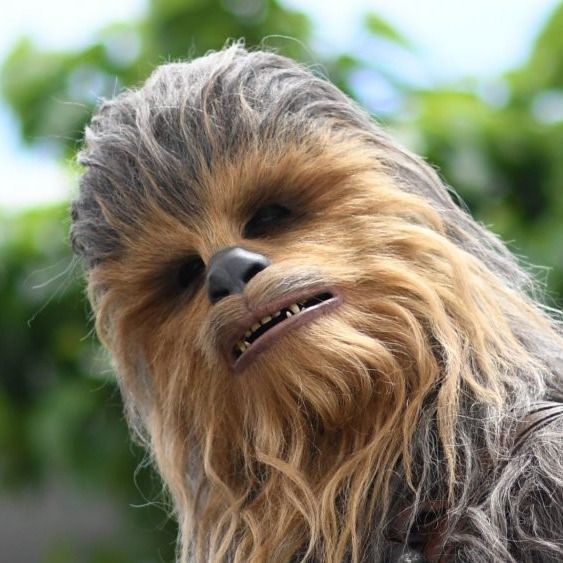 ‎aki_v’s profile • Letterboxd