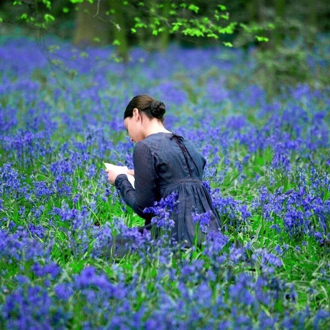 ‎Sehaj’s profile • Letterboxd