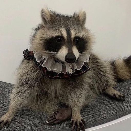 ‎Finn_cat’s profile • Letterboxd