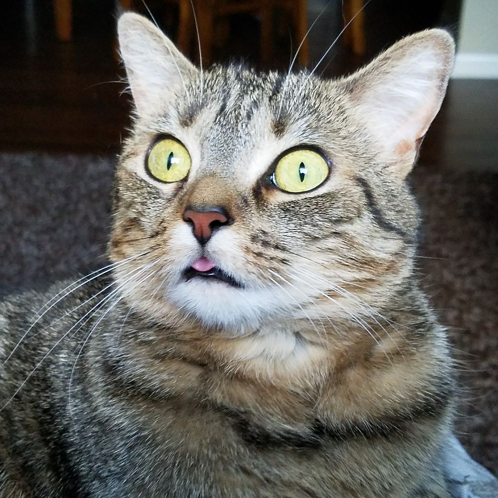 ‎Max Sweeney’s profile • Letterboxd