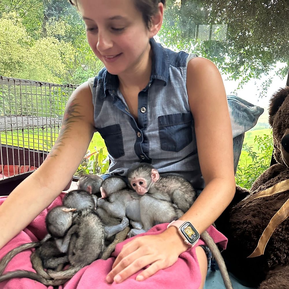 ‎Alyssa Christian’s profile • Letterboxd