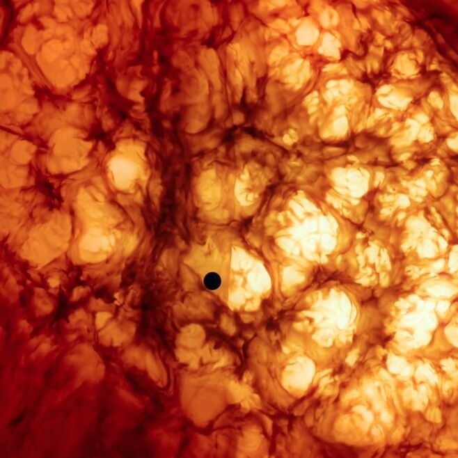 ‎Sam B’s profile • Letterboxd