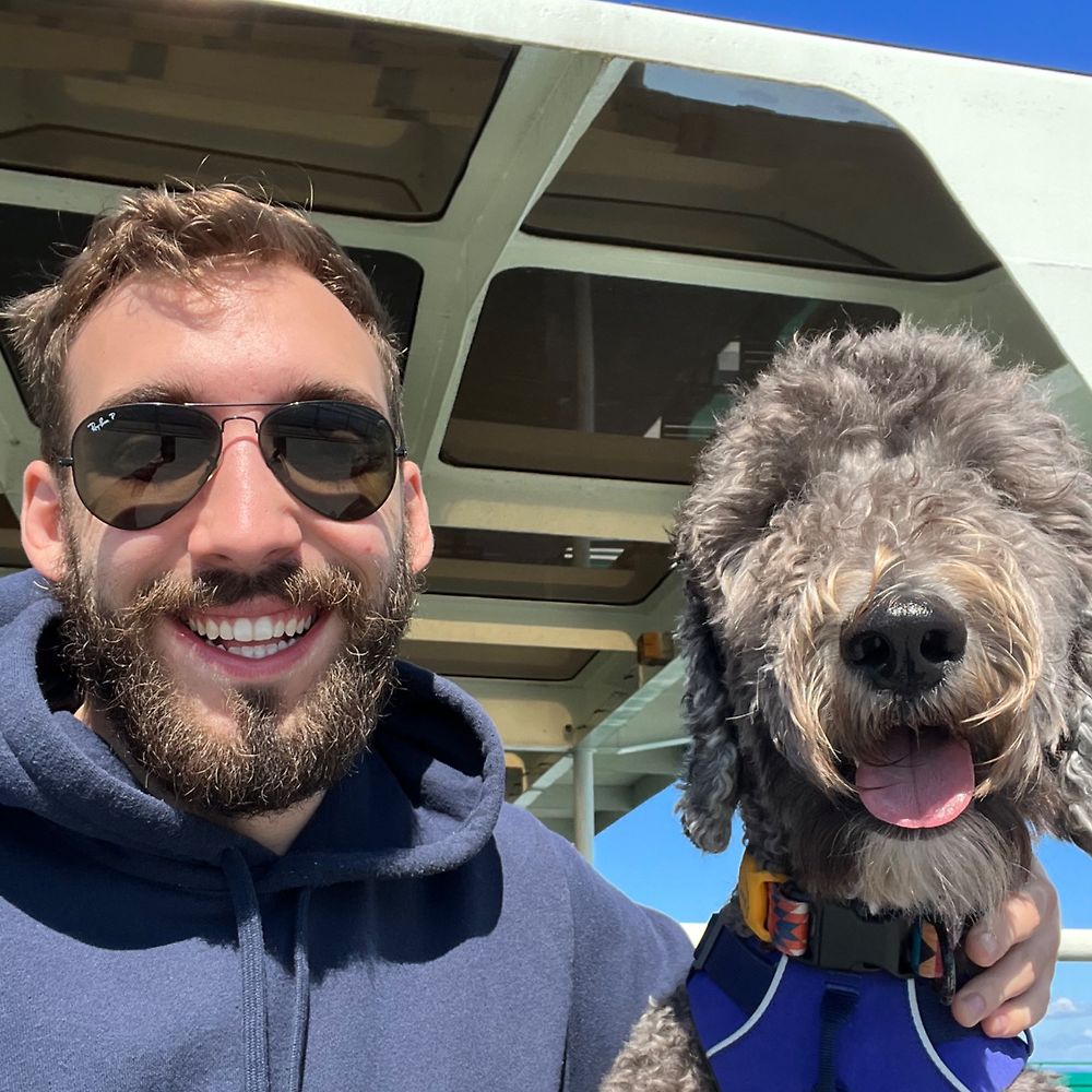 ‎Michael C’s profile • Letterboxd