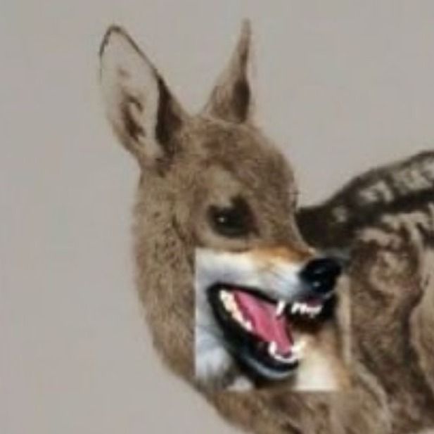 ‎derdâ’s profile • Letterboxd